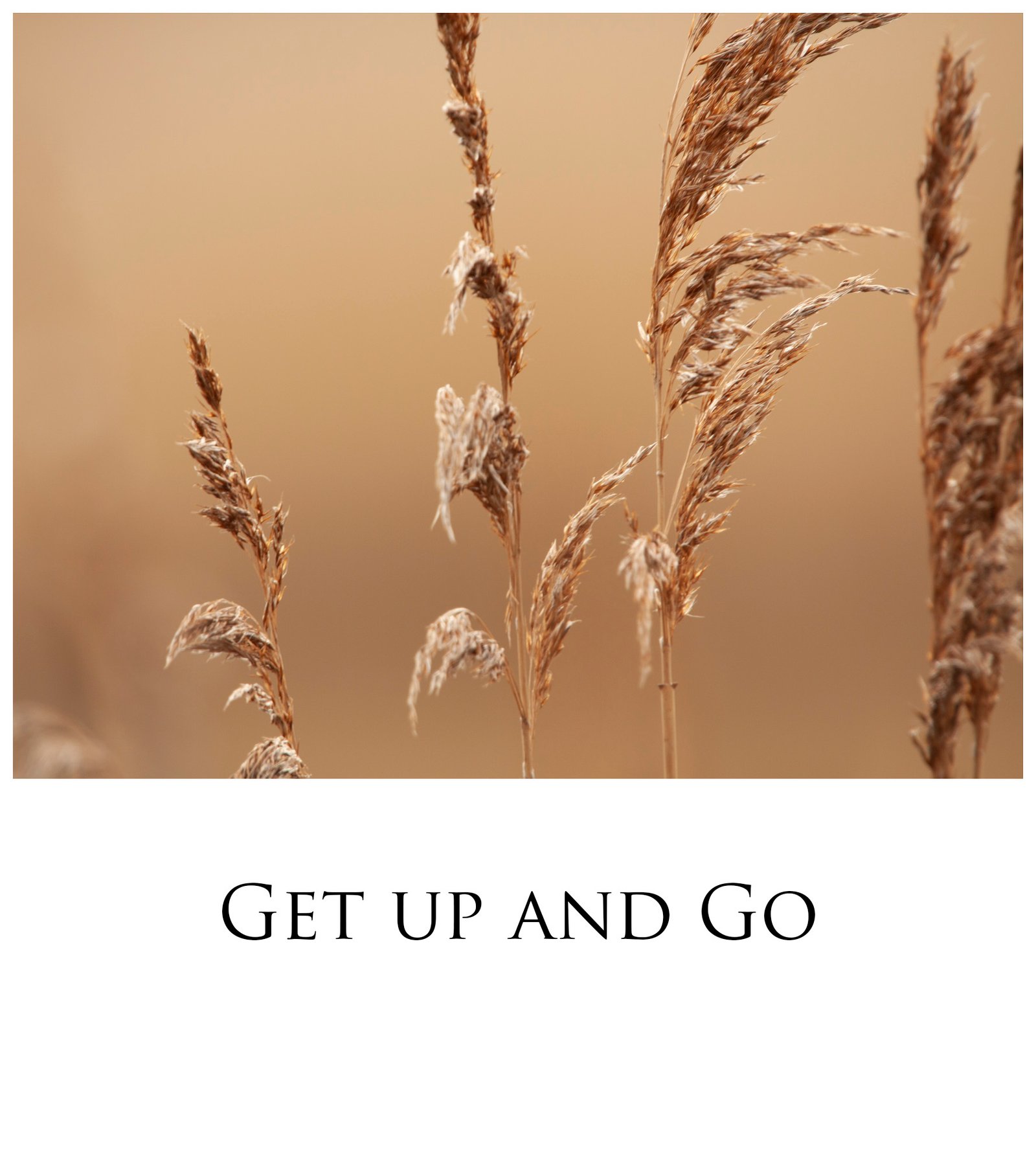 Get up and Go | Embrace Nature UK